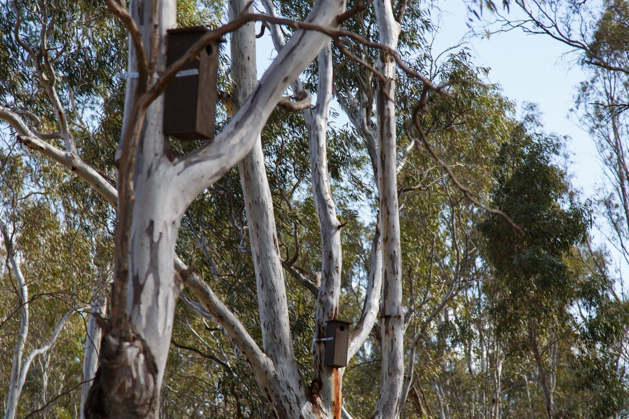 Australian Botanic Gardens Shepparton - Greater Shepparton City Council