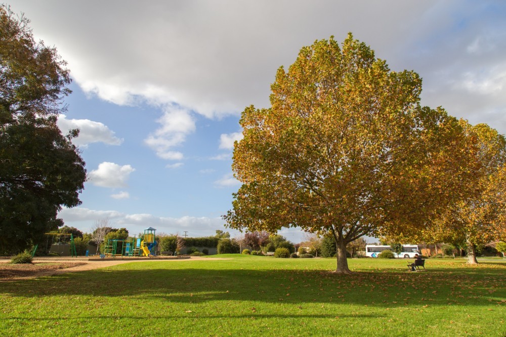 Urban Forest Strategy - Greater Shepparton City Council