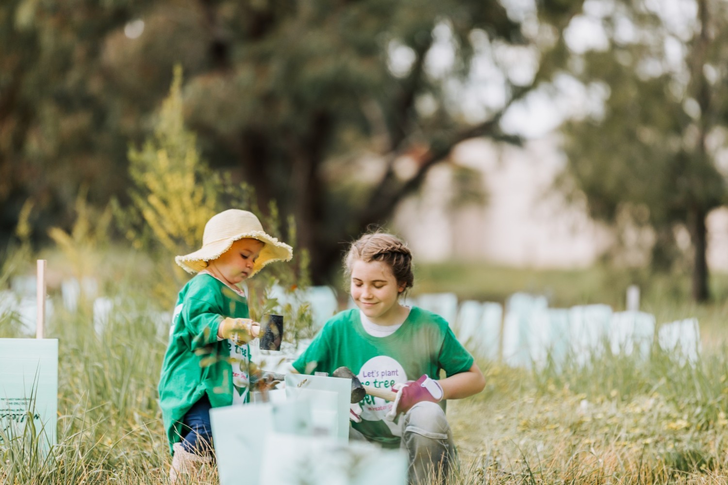 One Tree Per Child celebrates 100,000 tree planting milestone - Greater ...