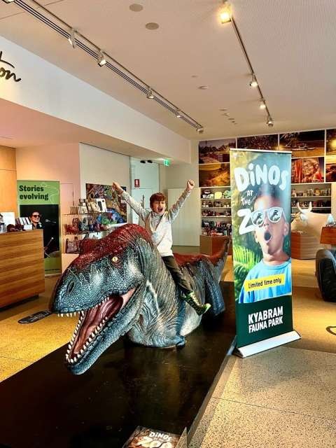 T-Rex Dinosaur visiting Greater Shepparton Visitor Centre - Greater ...